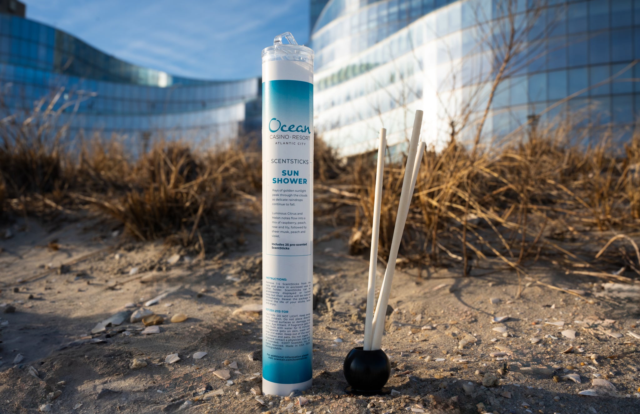 Ocean Sun Shower Scent Sticks – ShopOcean